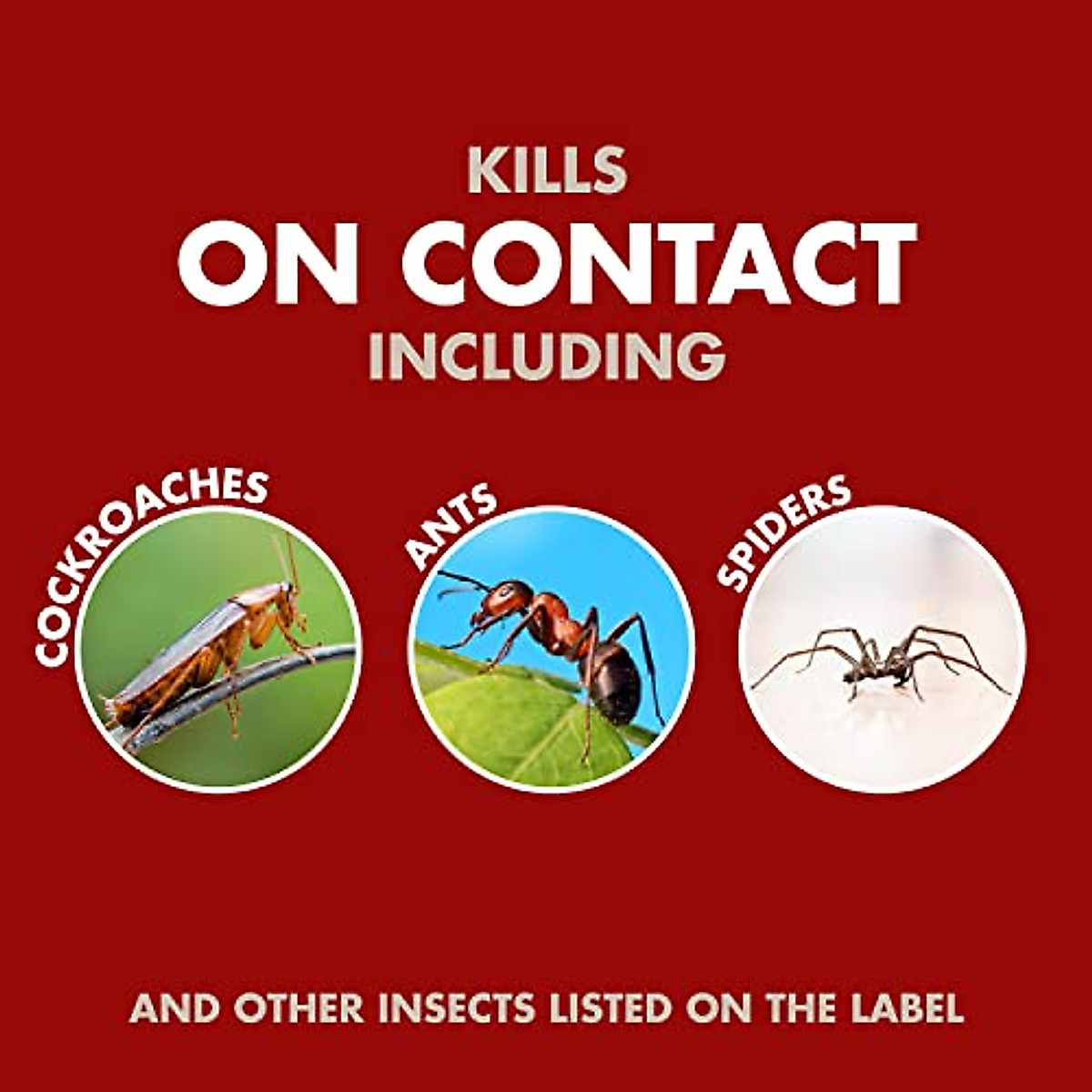 Spectracide Bug Stop Home Barrier, Kills Ants, Roaches and Spiders On Contact, Indoor and Outdoor Insect Control, 1.33 Gallon (RTU Accushot Spray), Plain