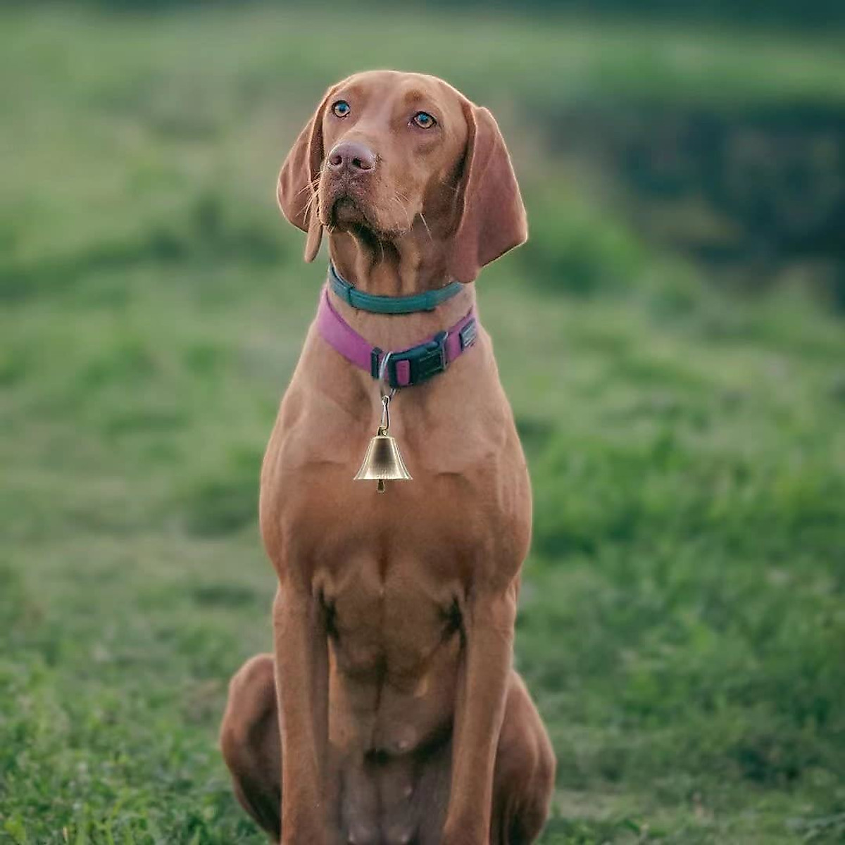 Craft Bells,2PCS Brass Bell(2" X 2") Vintage doorbell for DIY Craft Cow Horse Sheep Dog Camel Bells Home Garden Christmas Tree Decoration Bells KSI(Loud Sound)