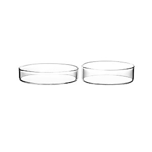 QWORK Glass Petri Dish Petri Plates with Lid, Thicken, 60mm x 18mm, 5 Pack