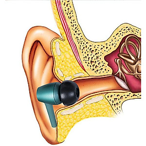 Zotech 6 Pair Replacement Memory Foam and Silicone Ear Tips for Sony WF-1000XM4 / WF-1000XM3 and Jabra Elite Active 65t, 75t, 85t with Storage Box (S/M/L, Black)