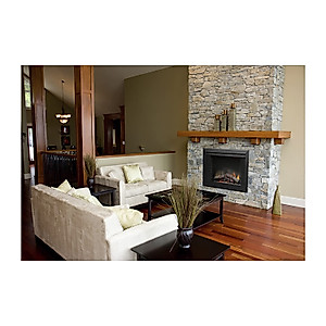 Dimplex BF Series 39" Deluxe Built-In Electric Firebox (Model: BF39DXP), 9220/7170/4915 BTU, 240/208/120 Volt, 2700/2100/1440 Watt, Black