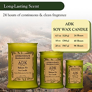 ADK Balsam & Fir Scented Candle, 4.5 Oz Natural Aromatherapy Candle for Home Decor & Kitchen Décor, Relaxing Plant-Based Wax Candles Perfect for Gift Giving