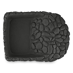 imagitarium Reptile Ramp Bowl, 13" L X 9" W X 2.5" H