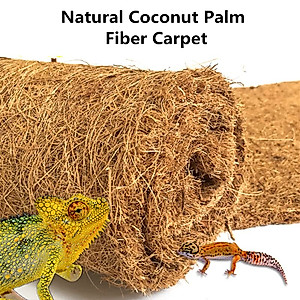 BATRC SYXYSM Natural Coconut Palm Fiber Mat Reptile Lizard Snake Chameleon Carpet Reptile Supplies Moisture-Proof Substrate (Size : 5.75 * 15.75in)