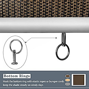 CICADA SPEECH Outdoor Roller Shade Roll Up Shade Cloth Patio Blinds for Deck Porch Balcony Backyard (8' W X 6' L), Coffee…