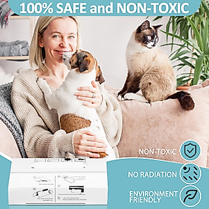 Qualirey Mouse and Insect Glue Boards Pest Glue Traps Bulk Large Mouse Rat Trap Sticky Adhesive for Mice Spider Moth Cockroaches Cricket House Indoor Outdoor Non Toxic (200 Pcs,8.66 x 5.31 Inch)