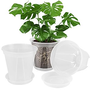 GREENPARA 8-inch Transparent Plastic Garden Pots Planter with Saucer Plant Pot Nursery Pots Drainage Hole for House Plants, Herb, Flowers, and Cactus with Plant Labels, 3-Set
