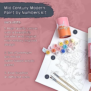 Pink Picasso Kits Mid Century Modern Paint by Number for All Ages | DIY Color by Numbers Craft Kit Acrylic Paint Canvas Beginners Painting Kits as Seen On Shark Tank | (Be Bubbly) 8x10-Paint Kit Set