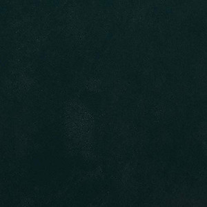 CosmoLiving by Cosmopolitan Astor Dining Chair Green