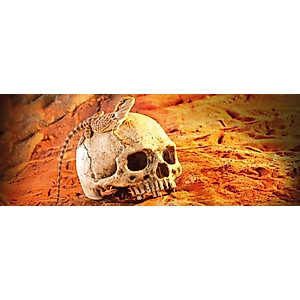 Exo Terra Terrarium Decor Primate Skull
