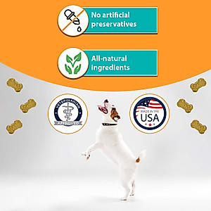 RestoraPet Allergy, Itch & Immune Soft Chews - Natural Supplement for Dogs - Support Immunity, Soothe Skin Irritation, Improve Coat Quality – with Lactoferrin, Colostrum & Omega 3-60 Bacon Chewables