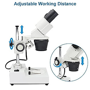 Binocular Stereo Microscope Industrial Stereo Microscope Top LED Illumination Mobile Phone PCB Soldering Repair Tool (Color : OneColor, Size : 20X and 40X)