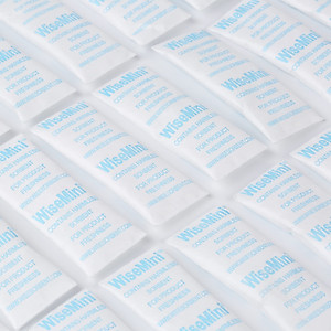 Wisesorb 0.25 Gram 600 Pack Silica Gel Packets, Dessicant Packets, Silica Gel Packs, Moisture Absorbers for Food Storage, Food Safe Desiccant Dehumidifiers