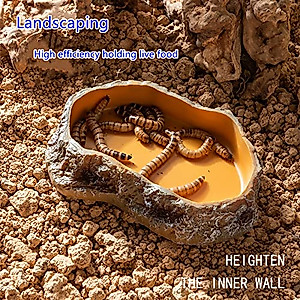 RunXF Simulation Rock Reptile Feeding Bowls Resin Feeder Lizard Toad Tortoise Hedgehog Habitat Accessories Terrarium Tank Ornament Water Food Dish,5.5 x 3.7 x 1.2inches (Medium)