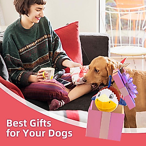 Dog Toy Balls for Aggressive Chewers with Crinkle Paper Interactive Outdoor Dog Toys for Tug of War Chase Toy with Rope Fun Fetch Rugby Ball Bird Themed Toy for Small Medium Large Dogs (Eagle)