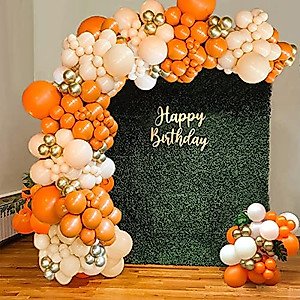 DUBEDAT Orange White Gold Balloon Garland Little Cutie Baby Shower Decorations with Eucalyptus,Orange and White Balloons,Gold Balloons for Girls Birthday,Baby Shower,Gray and Peach Wedding