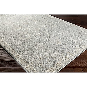 Artistic Weavers Gautier Traditional Oriental Area Rug, 2'7" x 10', Medium Gray