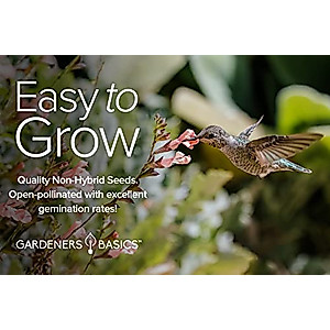 Hummingbird Seeds for Planting Outdoors Flower Seeds (5 Variety Pack) Zinnia, Foxglove, Lupine, Morning Glory, Snapdragons Varieties for Bees, Pollinators Wildflower Seed by Gardeners Basics
