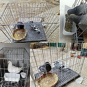 Pigeon Cage Chicken Cage Quail Cage Iron Cage for Pigeon Chicken Quail Duck Poultry Cage (50cm/20in)