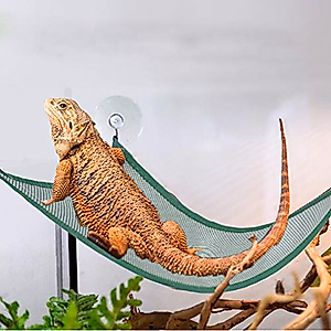 ADOGGYGO Bearded Dragon Lizard Hammock Reptile Hammock Lounger Ladder Bearded Dragon Hammock Accessories for Bearded Dragons Geckos Lizards Reptile (Green)