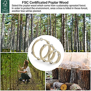 MUSICUBE Tambourine for Adults Kids 3 Packs Wood Tambourine Hand Held Metal Jingles Percussion musical instruments for Church Education Party Supply (6-Inch, 8-Inch, 10-Inch)