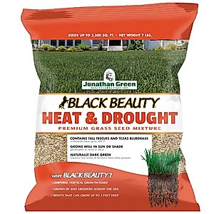 Jonathan Green (10515) Black Beauty Heat & Drought Resistant Grass Seed - Cool Season Lawn Seed (7 lb)