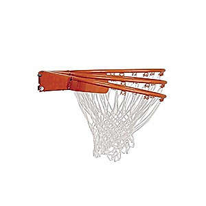 Lifetime Adjustable In-Ground Basketball Hoop (54-Inch Acrylic)