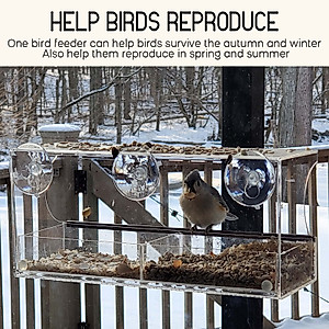 MrCrafts Window Bird Feeder for Outside with Strong Suction Cups, Fits for Cardinals, Finches, Chickadees etc