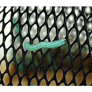 Josh's Frogs Hornworms Habitat Cup (25 Count Cup)