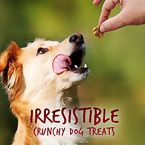 Fruitables Greek Yogurt Dog Treats – Healthy Dog Treats – Yogurt Treats for Dogs - Strawberry and Pumpkin Flavor – 7 Ounces