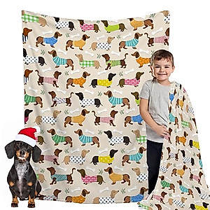 BUYYET Cute Dachshund Decor Fleece Flannel Animals Blanket Wiener Dog Dachshund Gifts Blanket for Women Lightweight Soft Cozy Throw Blanket for Bed Couch Travel Outdoor 40''x 50'' for Kids/Child