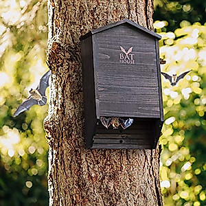 The Ultimate Wooden Bat House for Outdoors - A Large Double Chamber Box Perfectly Designed to Attract Bats - Durable and Easy to Hang