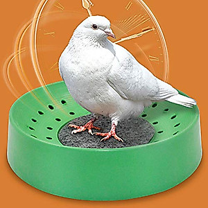 Weiyirot Bird Breeding Bed, 5 Pcs Plastic Bird Nesting Bowl Egg Basin with Mat, Cage Accessory Supplies, Breathable, Washable, Easy to Dry