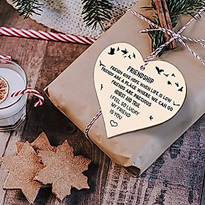 Birthday Gifts for Women Friendship Funny Relationship Gifts Unique Inspirational Personalized Small Plaques Under 10 Dollars Presents for Men Women Her Female BFF Girls