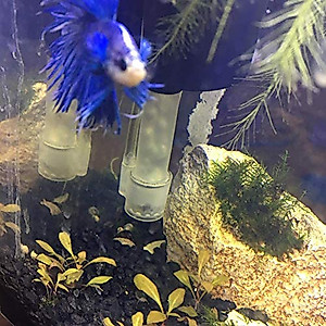 IC INSTANT COACH 10W Super Slim Aquarium Fish Tank 5730 LED Light Clip-on Lamp Aquatic Plant Lighting (Black Body White+Blue Light)