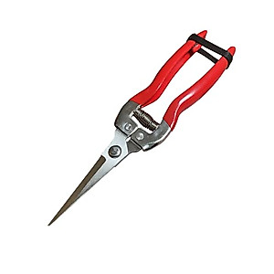 Garden Guru Straight Stainless Steel Pruner Pruning Shears Clippers Snips – Sharp Bonsai Plant Trimming Scissors – Straight Blade Garden Scissors Tool – Great for Roses Flowers Herbs Fruits