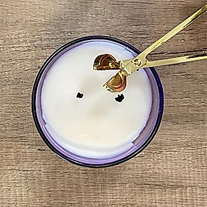 Paddywax Scented Candles Vintage Glass Aura Collection Soy Wax Blend 2-Wick Candle, 6-Ounce, Pepper & Plum