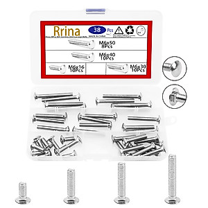 Rrina 38Pcs 304 Stainless Steel Carriage Bolts Round Head Square Neck Screws Coach Bolt Assortment Kit, 5 Sizes M6x16/30/40/50