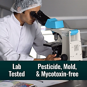 Natural Force Clean Coffee Dark + Medium Roast Bundle - Organic, Mold Free, Whole Bean Coffees Tested for Toxins and Powered by Purity – Great Taste + Aroma - 2x 12 Ounce Bags