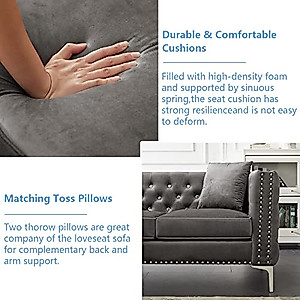 mikibama Velvet Loveseat with Jeweled Buttons and Square Arms 59 Inch Tufted Sofa with Trimmed Nailhead and Metal Legs Loveseat Couch with 2 Pillows for Living Room, Bedroom and Office (Gray)