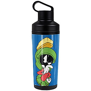 Looney Tunes OFFICIAL Marvin The Martian 18 oz Insulated Water Bottle, Leak Resistant, Vacuum Insulated Stainless Steel with 2-in-1 Loop Cap