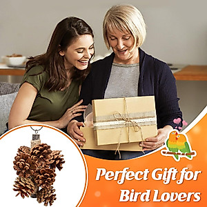 Acostop Bird Toys Parrot Toys - Bird Chewing Toy with Natural Pine Cones for Small and Medium-Sized Parakeets Cockatiels Conures Cockatoos African Grey Amazon Parrots Birdlovers Gifts