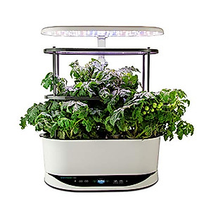 AeroGarden Trellis System (for 2019 Bounty Models), Black
