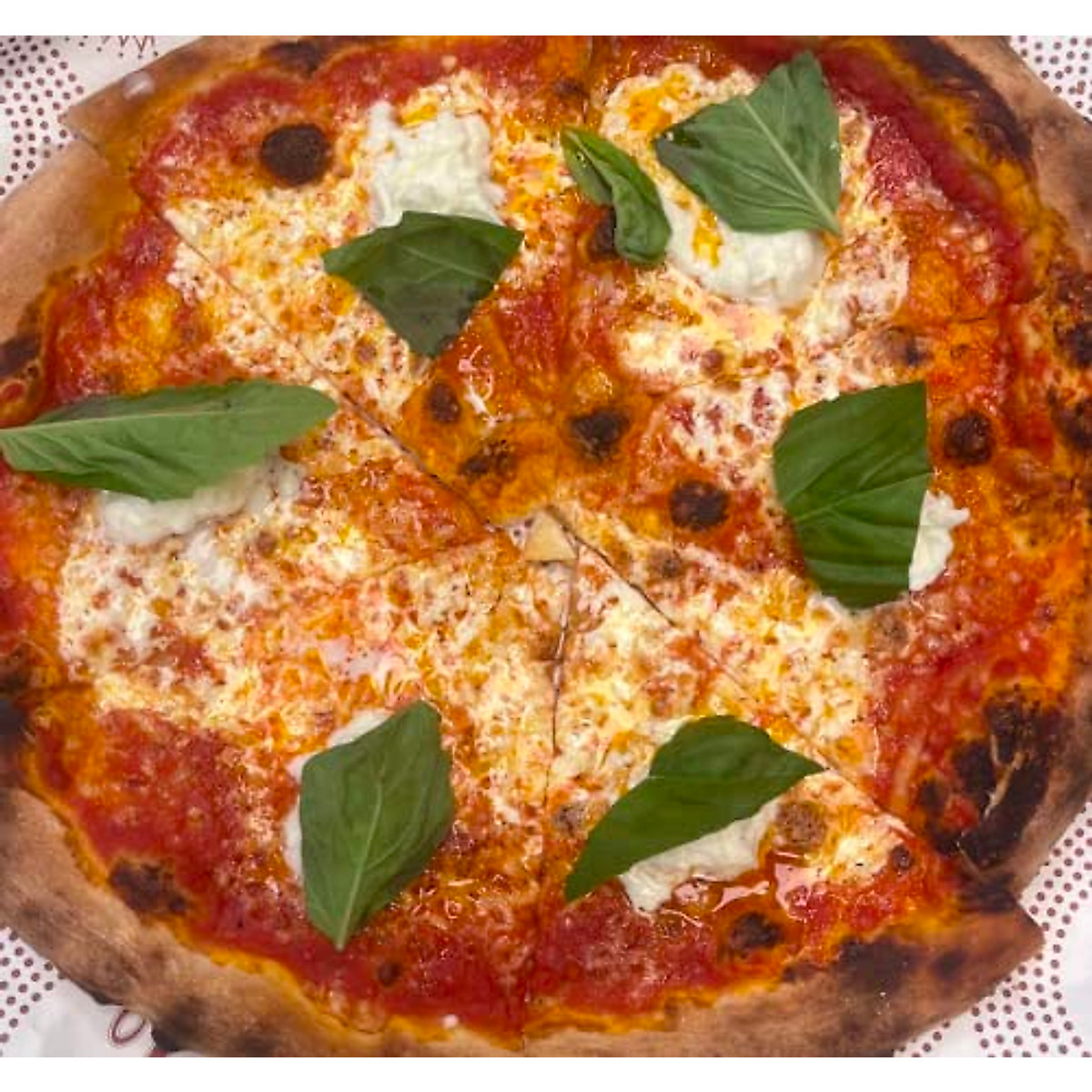 Carbone Pasta Sauce VARIETY PACK of Tomato Basil, Marinara, Arrabbiata, Roasted Garlic, Tomato Sauce Made with Fresh, Natural Ingredients, Non GMO, Vegan, Gluten Free, Low Carb, 24 Fl Oz (Pack of 4)