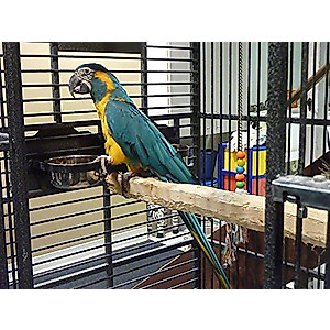 Natural Inspirations Parrot Cages Birdy Bracket 2x4 Holders (Black and Silver)