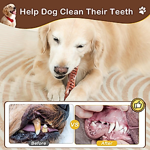 NOUGAT Dog Toys for Aggressive Chewers 3 Pack Indestructible Dog Toy Tough Nylon Bacon Flavor Dog Chew Toys for Large Medium Small Breed