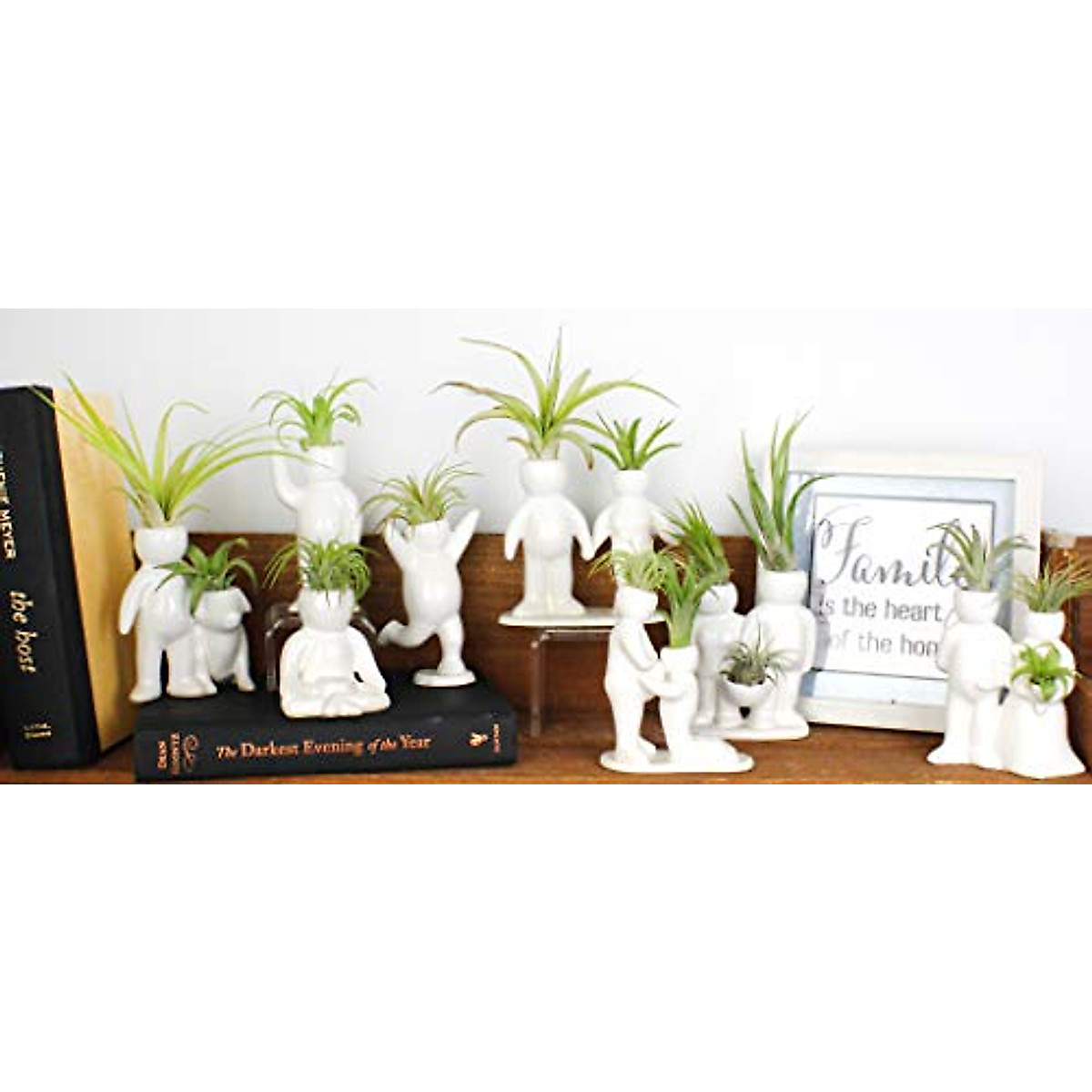 3.25 Inch White Ceramic Meditating Person Shaped Planter with Live Tillandsia Air Plant - Potted Indoor Air Plants for Home and Office Decor