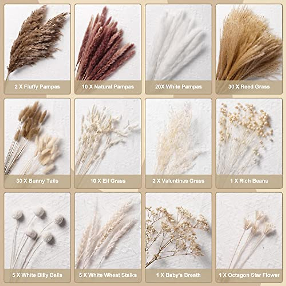 121pcs Dried Pampas Grass Decor, Boho Home Table Fall Decor Dried Flowers, White & Natural Pampas Grass, Reed Grass, Bunny Tails, 17 inch Pompass Grass for Wedding Home Decoration, Farmhouse Party