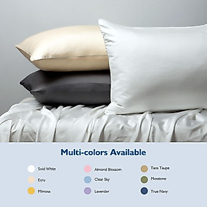 Dafinner 100% Mulberry Silk Pillowcases Standard Size, Grey Silk Pillow Cases Set of 2, Hair and Skin Friendly, Hidden Zipper, Gifts for Women Men, 2 Pack, 20x26 Inches