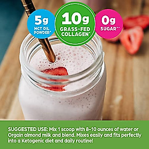 Orgain Keto Collagen Protein Powder with MCT Oil, Vanilla - Paleo Friendly, Grass Fed Hydrolyzed Collagen Peptides Type I and III, Dairy Free, Gluten Free, Soy Free, 0.88 Lb (Packaging May Vary)